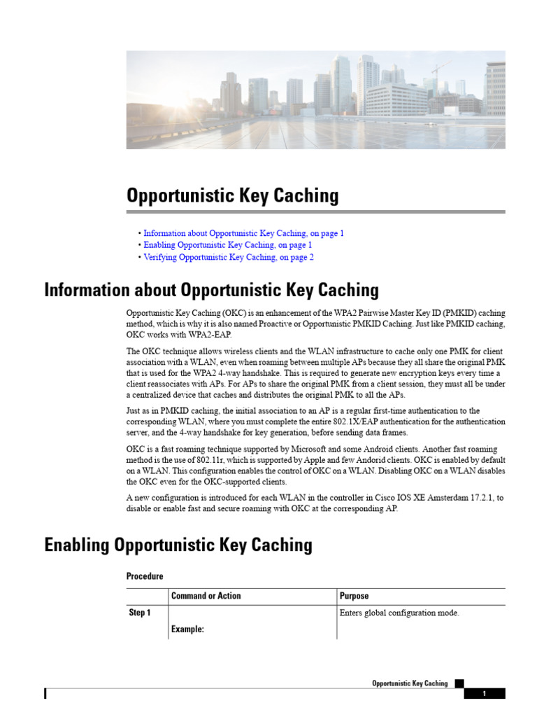 Opportunistic Key Caching Guide | PDF | Wireless Lan | Cyberwarfare
