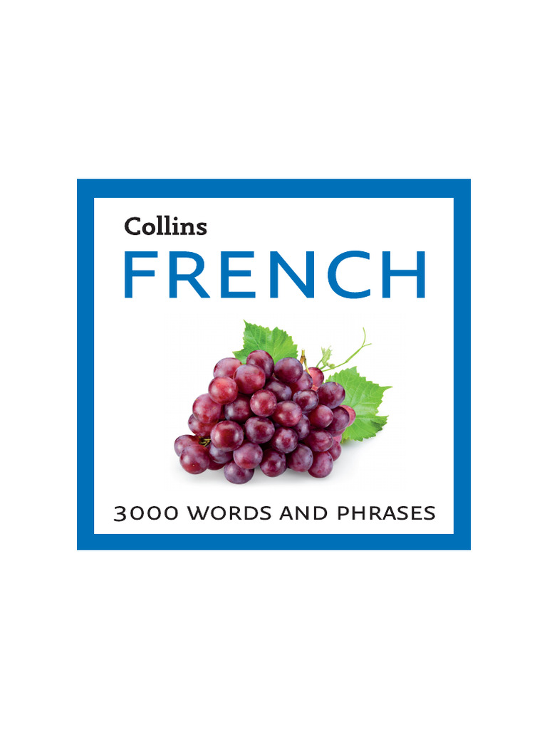 3000 Words and Phrases | PDF
