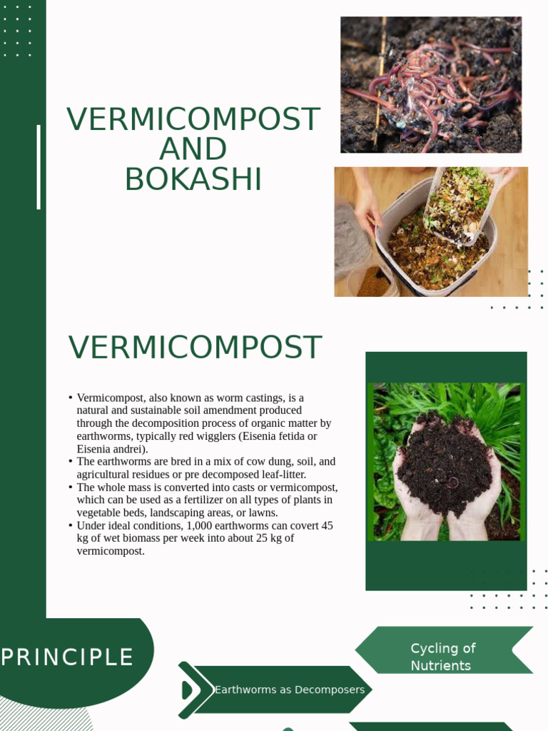 Vermicompost and Bokashi | PDF | Compost | Horticulture