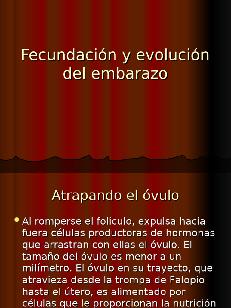 Materno - Fecundacion y Desarrollo Del Feto | PDF | Placenta | Feto