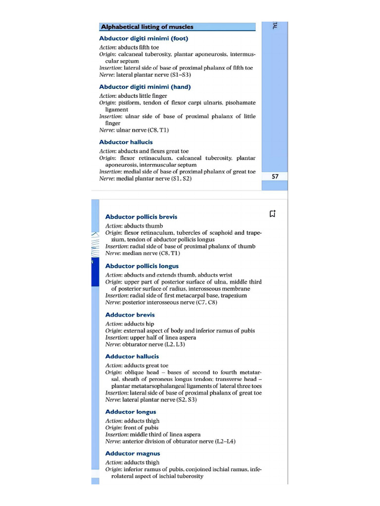 Alphabetic List of Muscle+ Ligament of Some joints+ROM | PDF