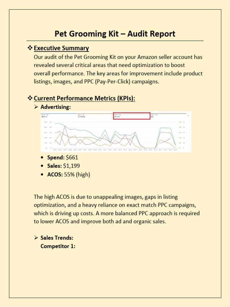 Pet Grooming Kit SEO Audit Insights | PDF | Search Engine Optimization ...