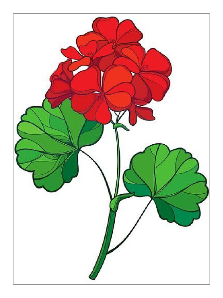 Flower Project | PDF