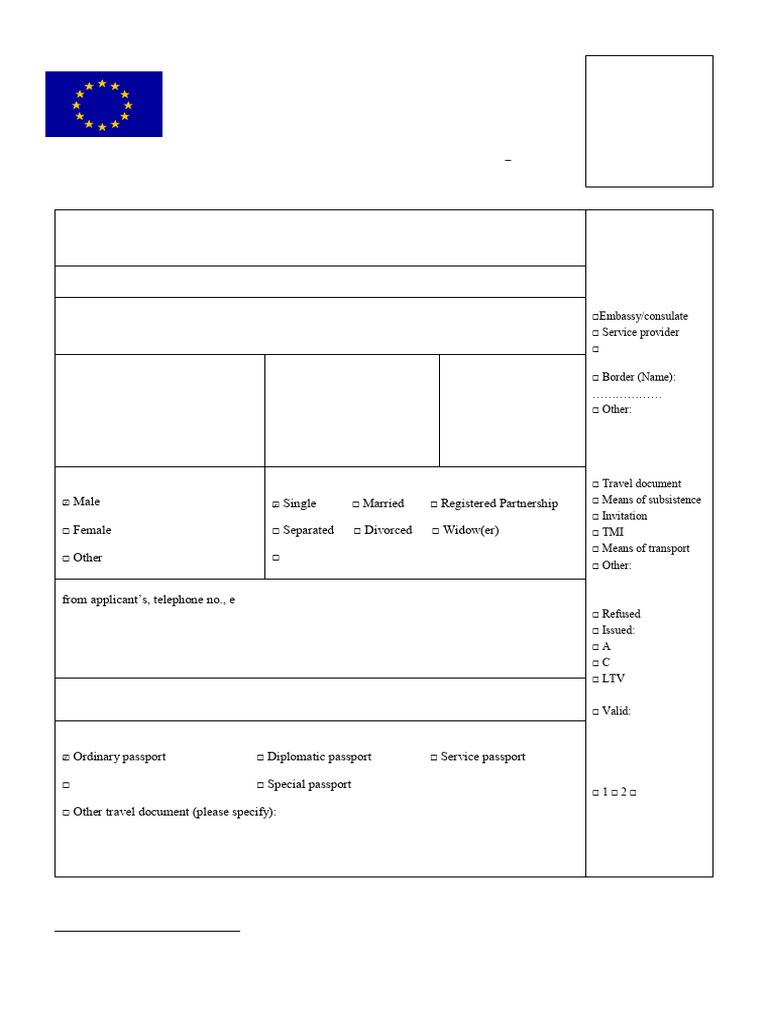 Appication Form | PDF | Travel Visa | European Economic Area