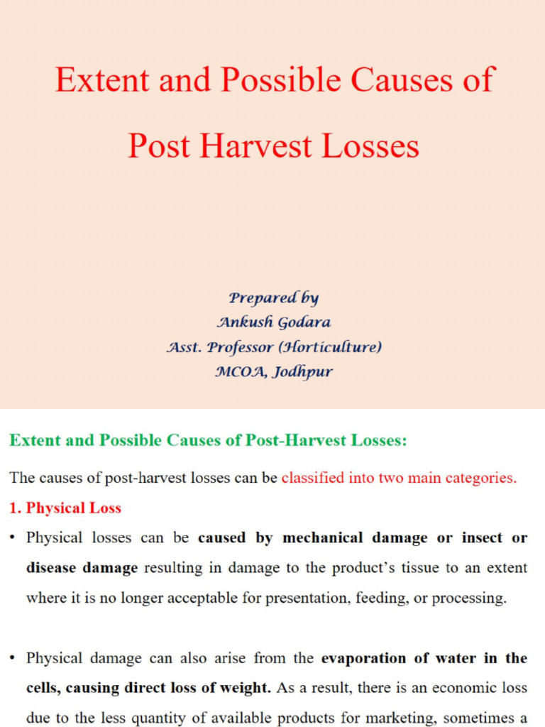 Lecture 2 Extent and Possible Causes of Post Harvest Losses | PDF