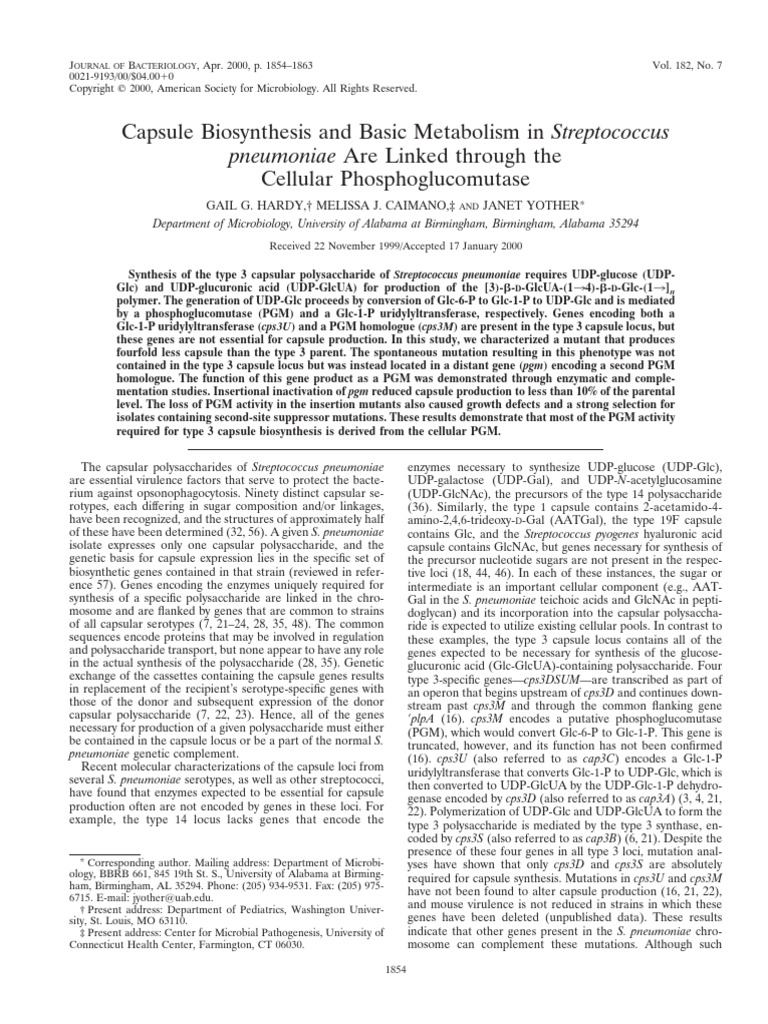Capsule Biosynthesis and Basic Metabolism Instreptococcus Pneumoniae ...