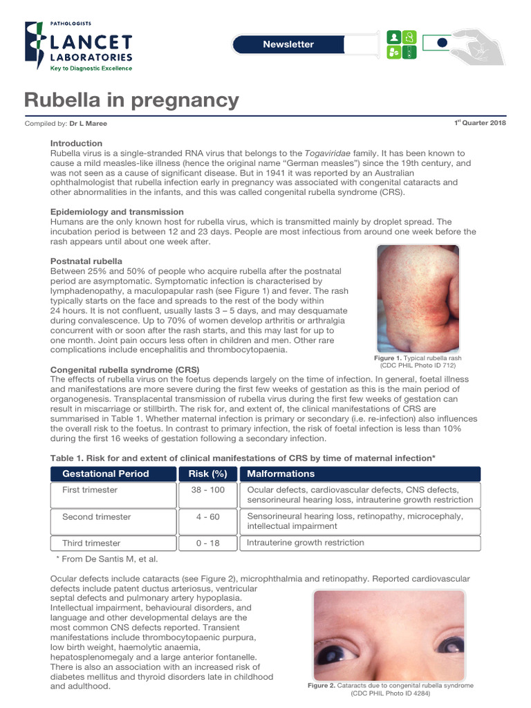 Rubella In Pregnanacy Pdf Medical Specialties Microbiology