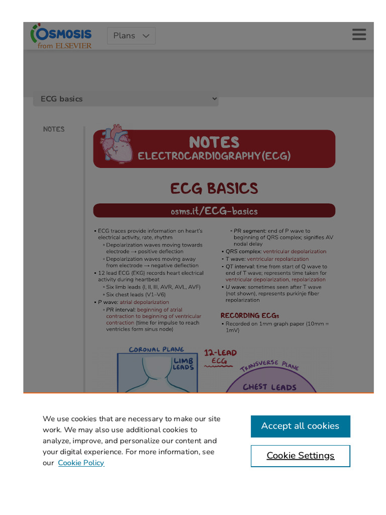 Plans: ECG Basics | PDF