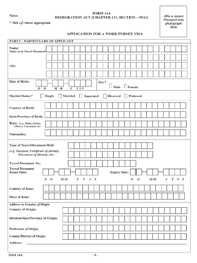 Singapore Visa Application Form | PDF