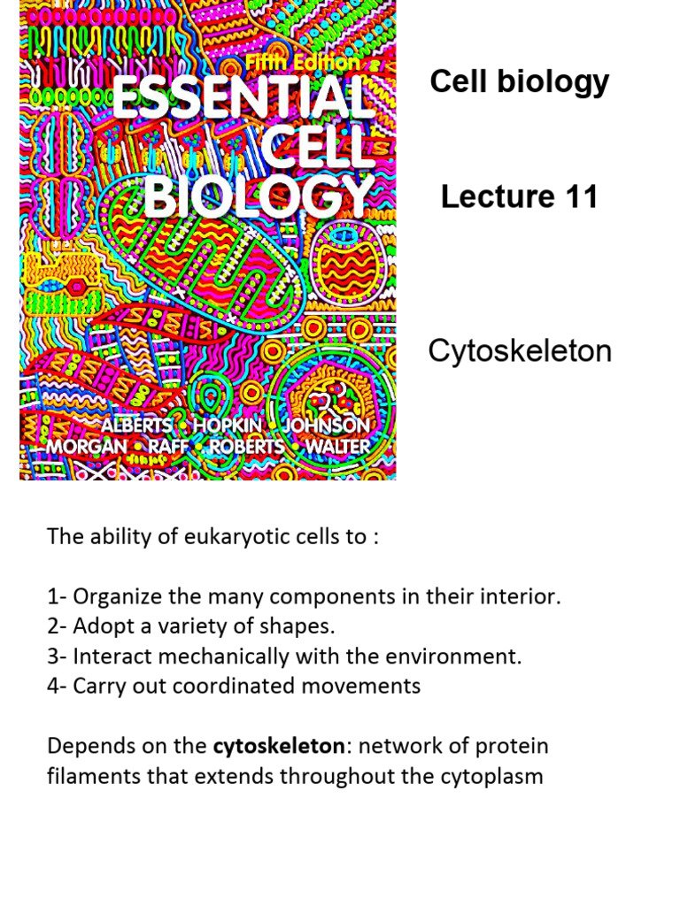 11. Cell Biology Lec 11 | PDF | Cytoskeleton | Microtubule