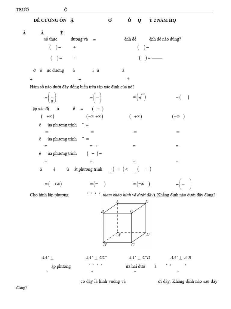 ĐỀ CƯƠNG TOÁN 11 CK2 CHÍNH THỨC | PDF