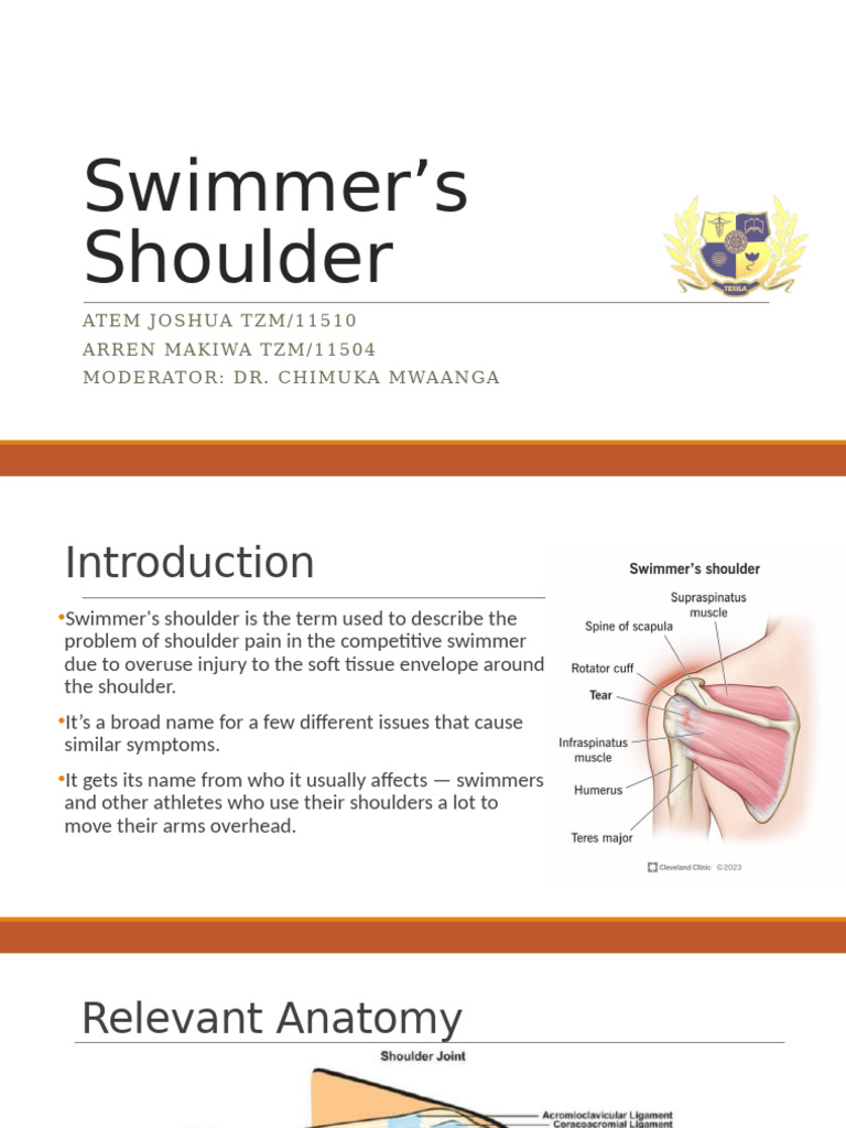 Understanding Swimmer's Shoulder Pain | PDF | Shoulder | Anatomical ...