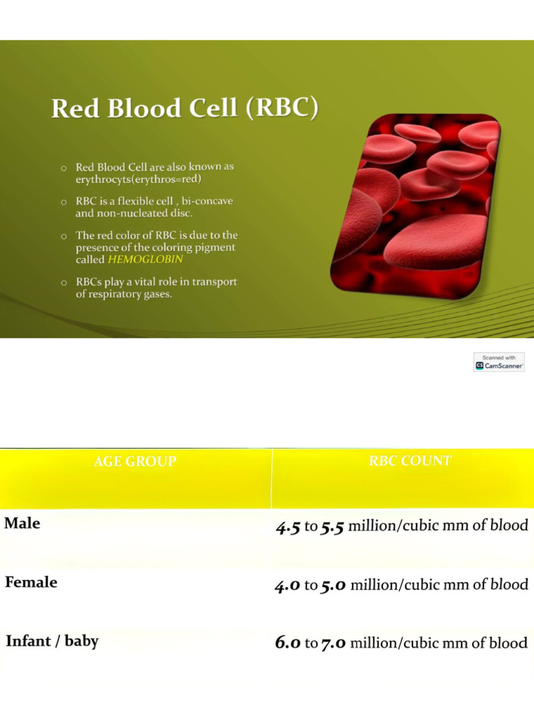 Red Blood Cells | PDF