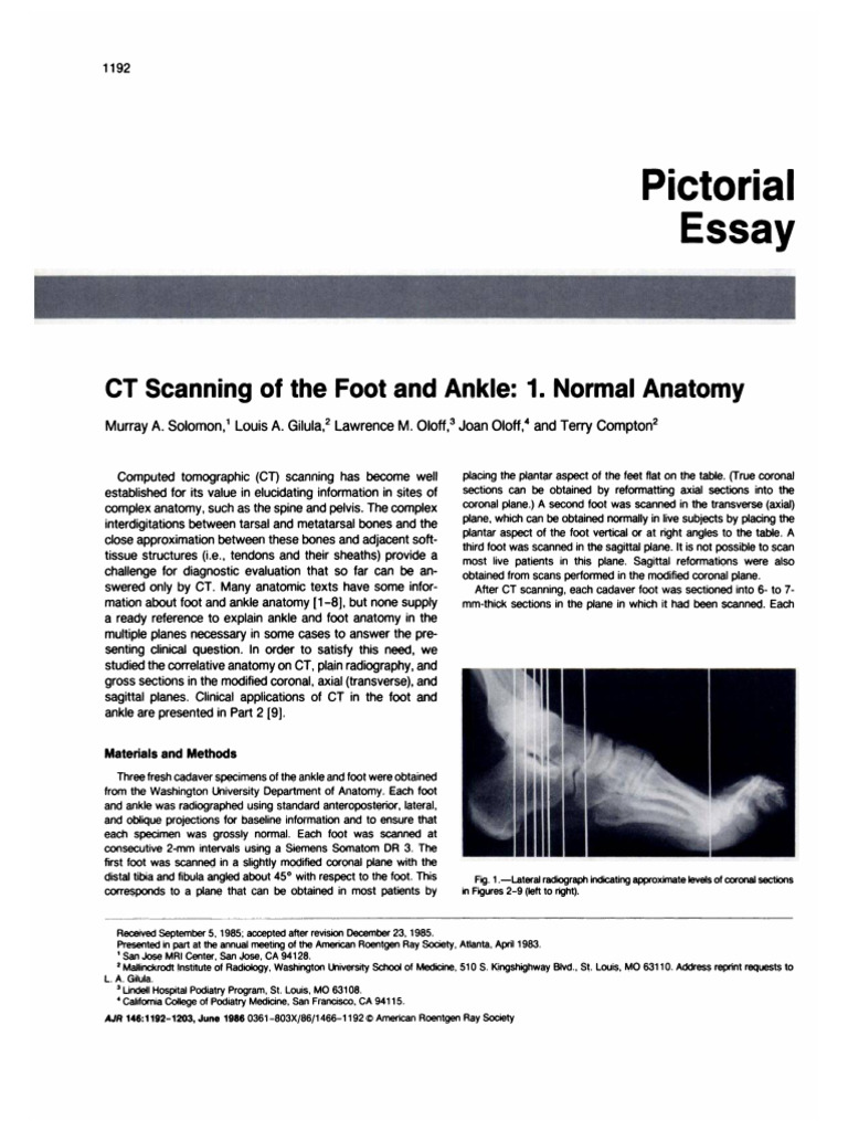 Solomon Et Al 2012 CT Scanning of The Foot and Ankle 1 Normal Anatomy | PDF | Foot | Limbs (Anatomy)
