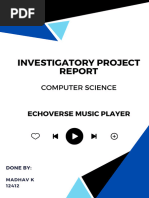 Music Player Functions Presentation With Placeholders | PDF