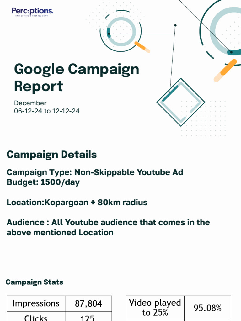 Google Campaign Report | PDF