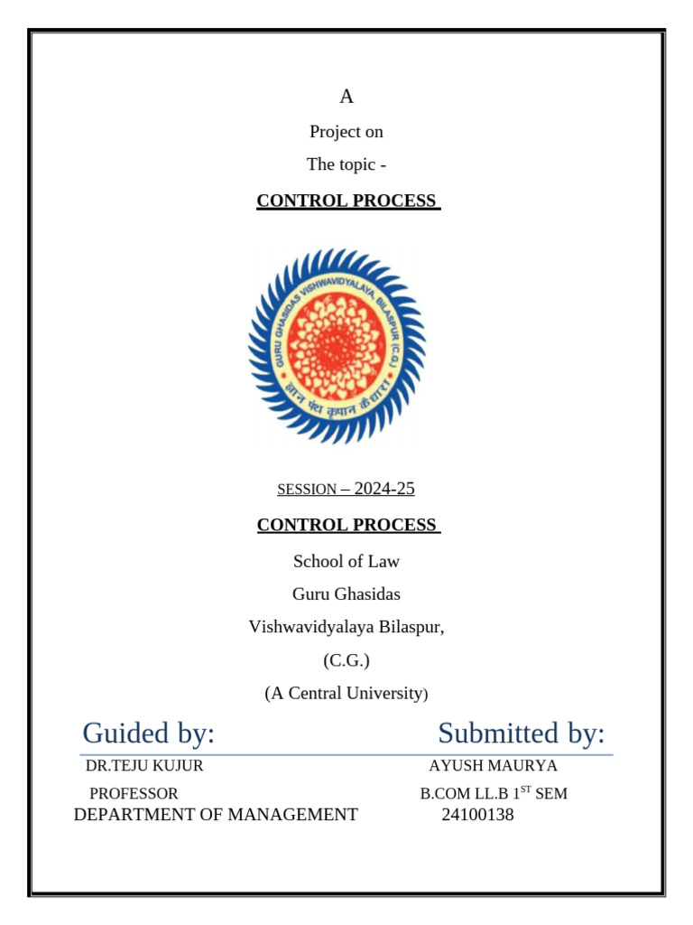 Ayush Businessdocc | PDF