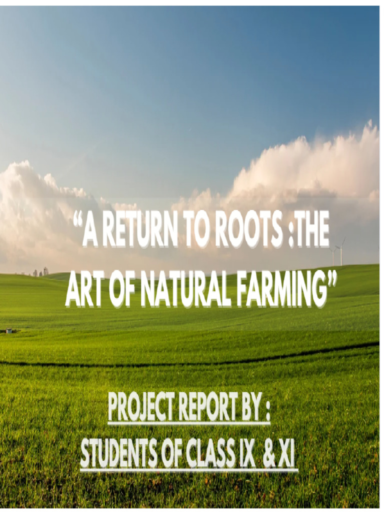 Natural Farming Project Overview | PDF | Agriculture | Organic Farming