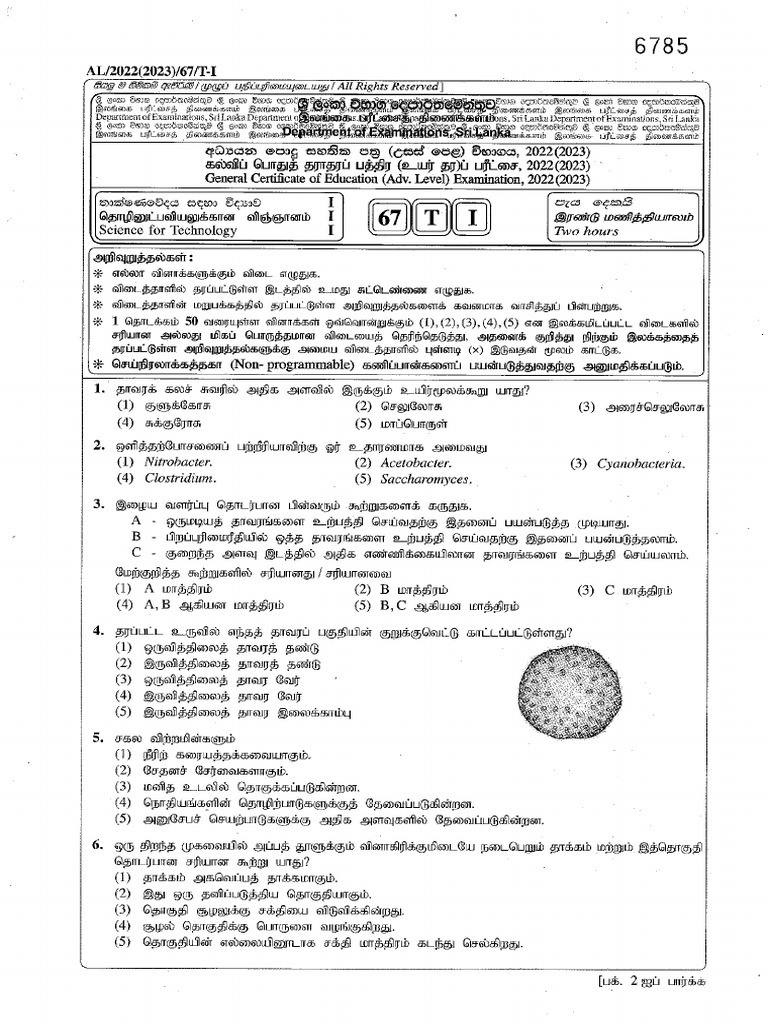 2022 SFT Paper | PDF