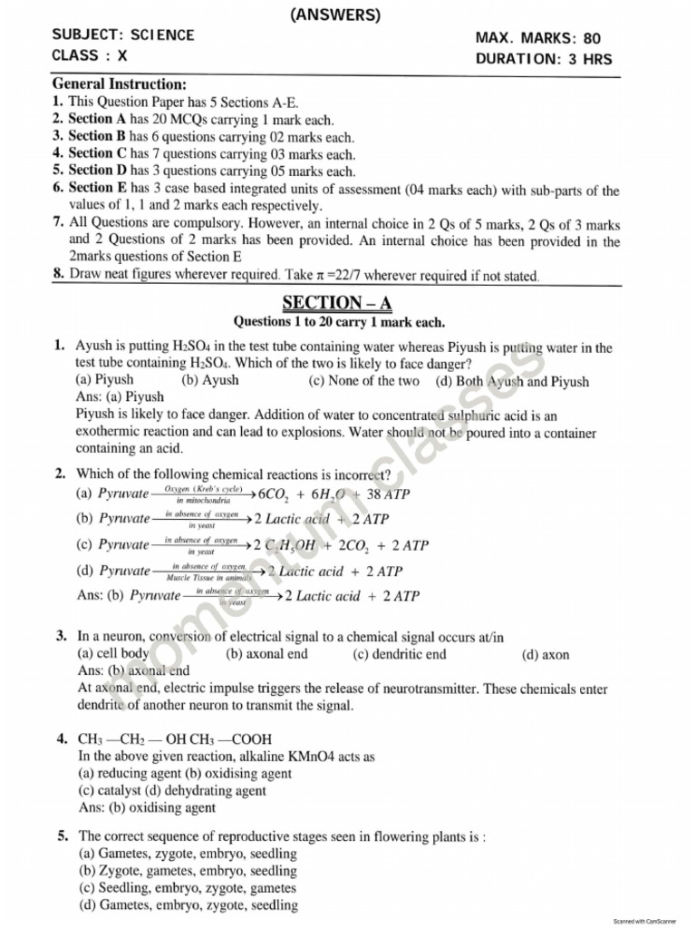 Science Test - 2 Answer | PDF