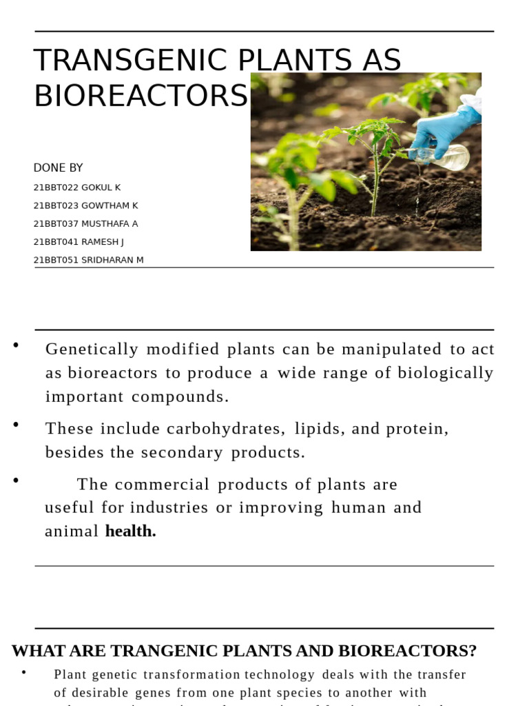 Transgenic Plants As Bioreactors | PDF