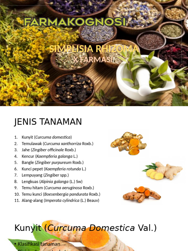 SIMPLISIA RHIZOMA | PDF