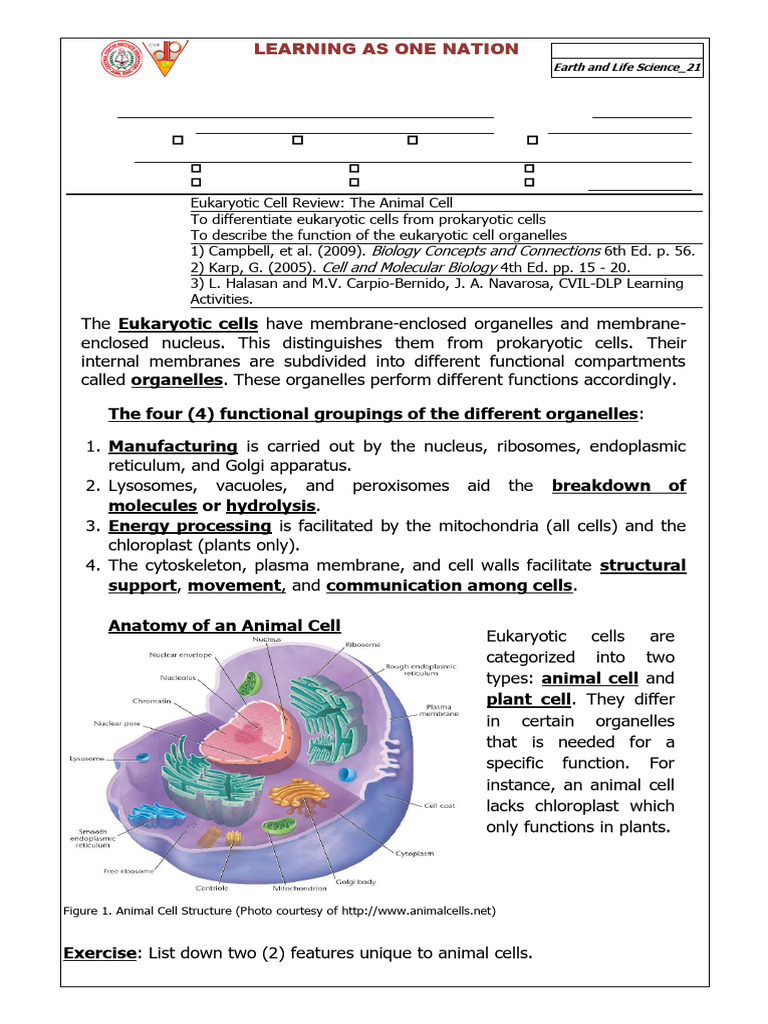 Earth - Life Science LAS 21 Animal Cell Review | PDF | Cell (Biology ...