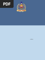 How To Raise A Motion or Moderated Caucus | PDF