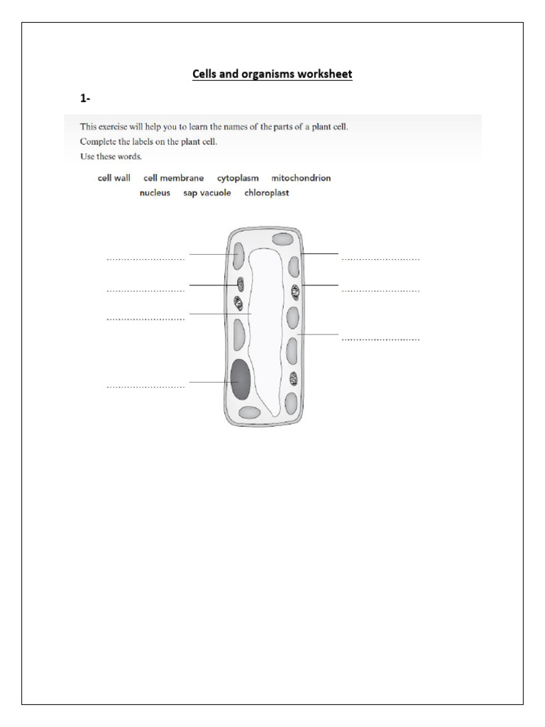 Cells and Organisms Worksheet 2959ne | PDF