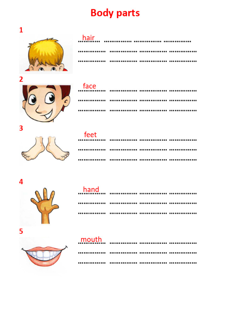 Copy Words New | PDF