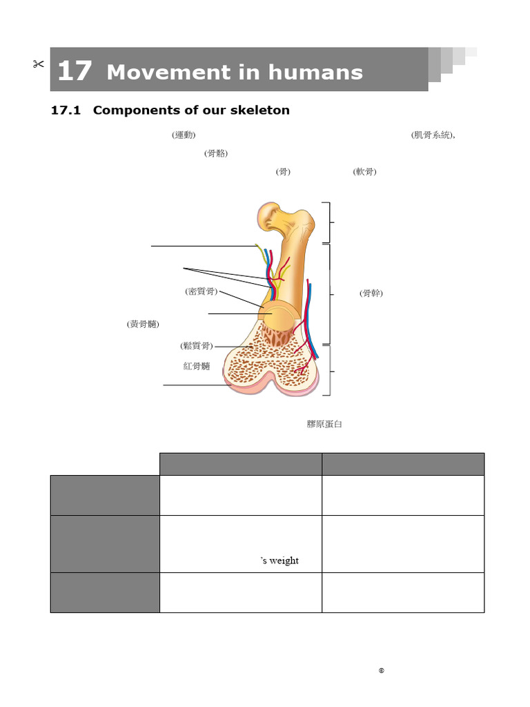 New Senior Secondary Mastering Biology Revision Notes Chapter 17 | PDF ...