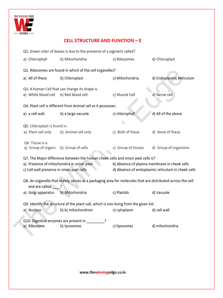Cell Structure and Function Quiz Answers | PDF