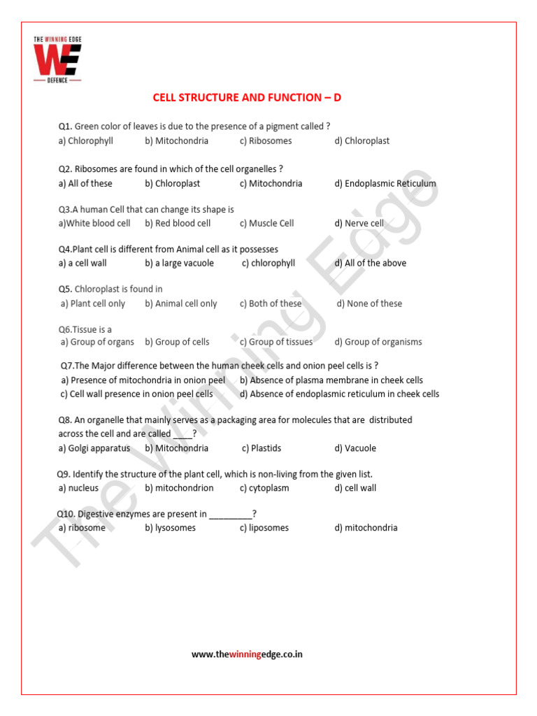 Cell Structure and Function Quiz Answers | PDF | Cell (Biology ...