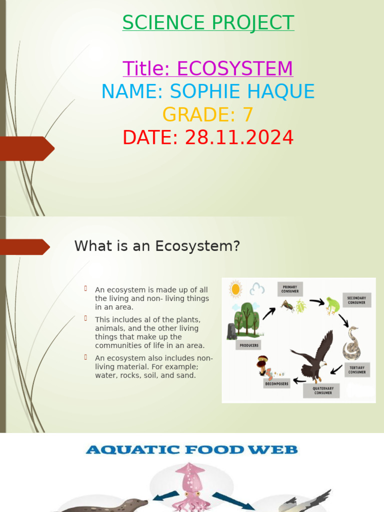 Science Project on Ecosystem Second Term Ppt | PDF