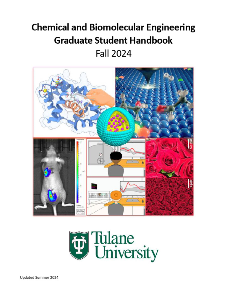 Tulane Graduate Handbook - 2024 | PDF | Thesis | Doctor Of Philosophy