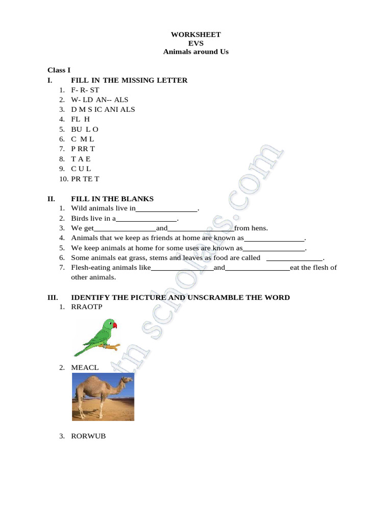 Class_1_EVS_Worksheet (1) | PDF | Pet | Domesticated Animals
