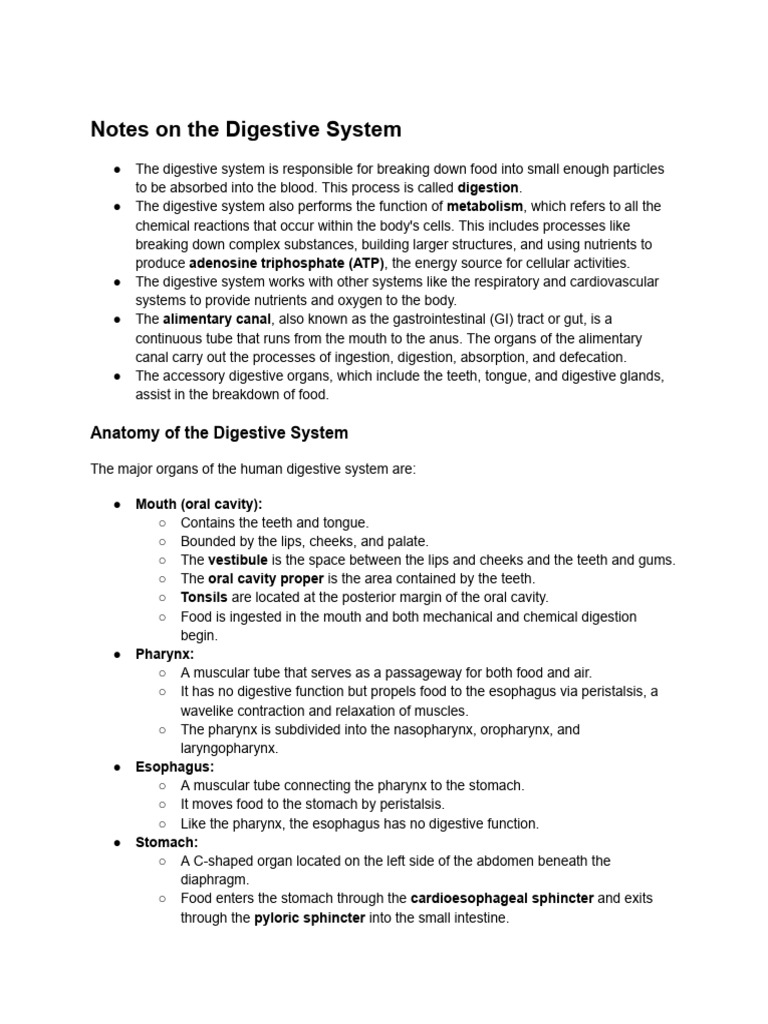 Anaphy-Lec Finals Reviewer | PDF | Digestion | Stomach