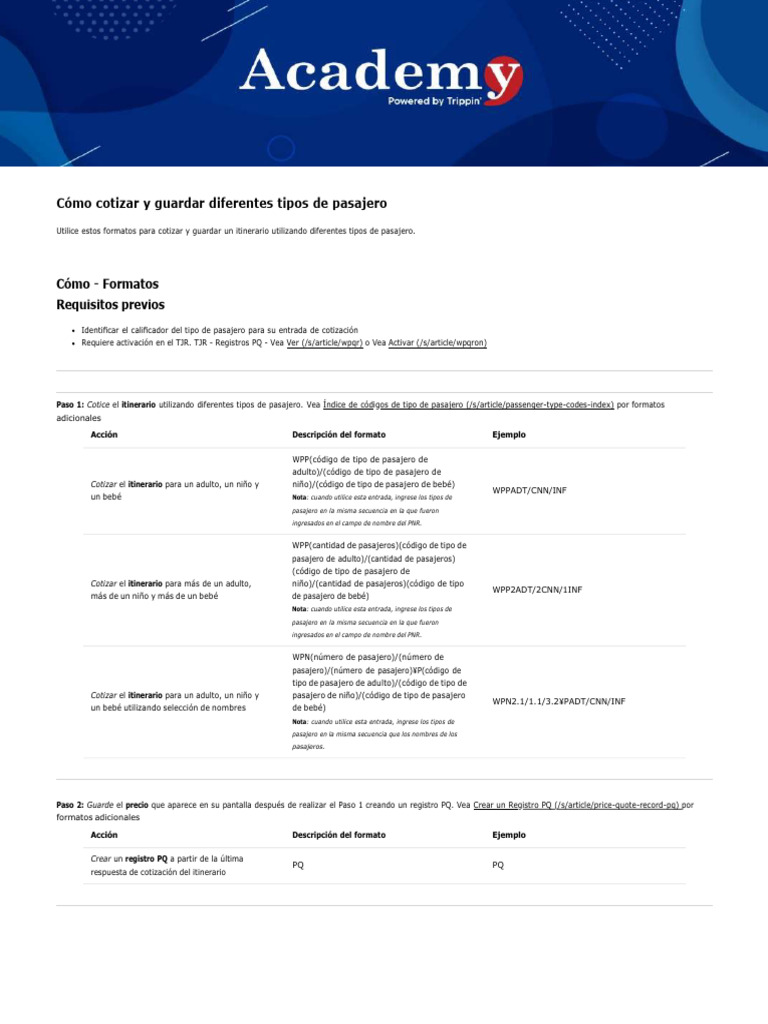 Guia Sabre-Academy by Trippin | PDF | Pasaporte | aerolíneas americanas