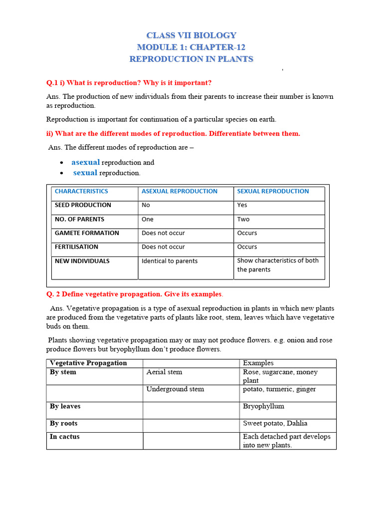 VII Biology Ch.12 Reproduction in Plants UPDATED | PDF | Flowers ...