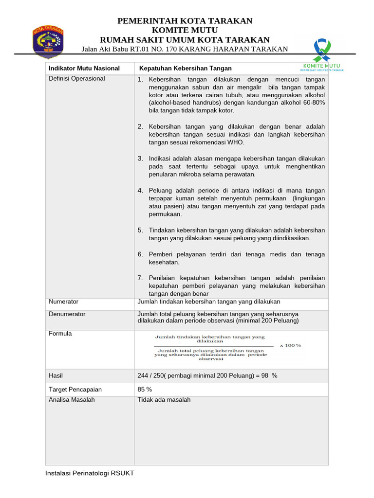 Indikator Mutu Nasional Instalasi Perinatologi Bulan Juni Tahun 2023 | PDF