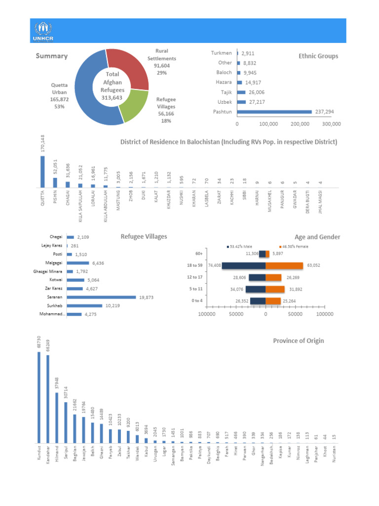Afghan Refugee Demographics in Balochistan | PDF | Pakistan | Asia