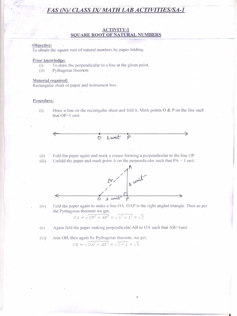 Maths Activity - Class 9 - 1 | PDF
