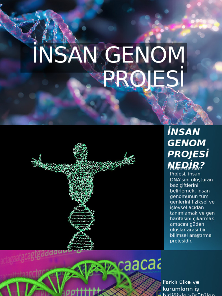 İnsan Genom Projesi̇ | PDF