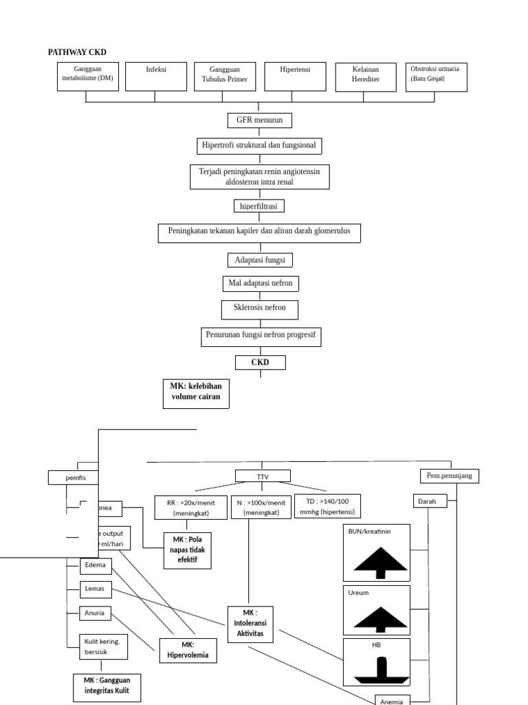 PATHWAY CKD | PDF