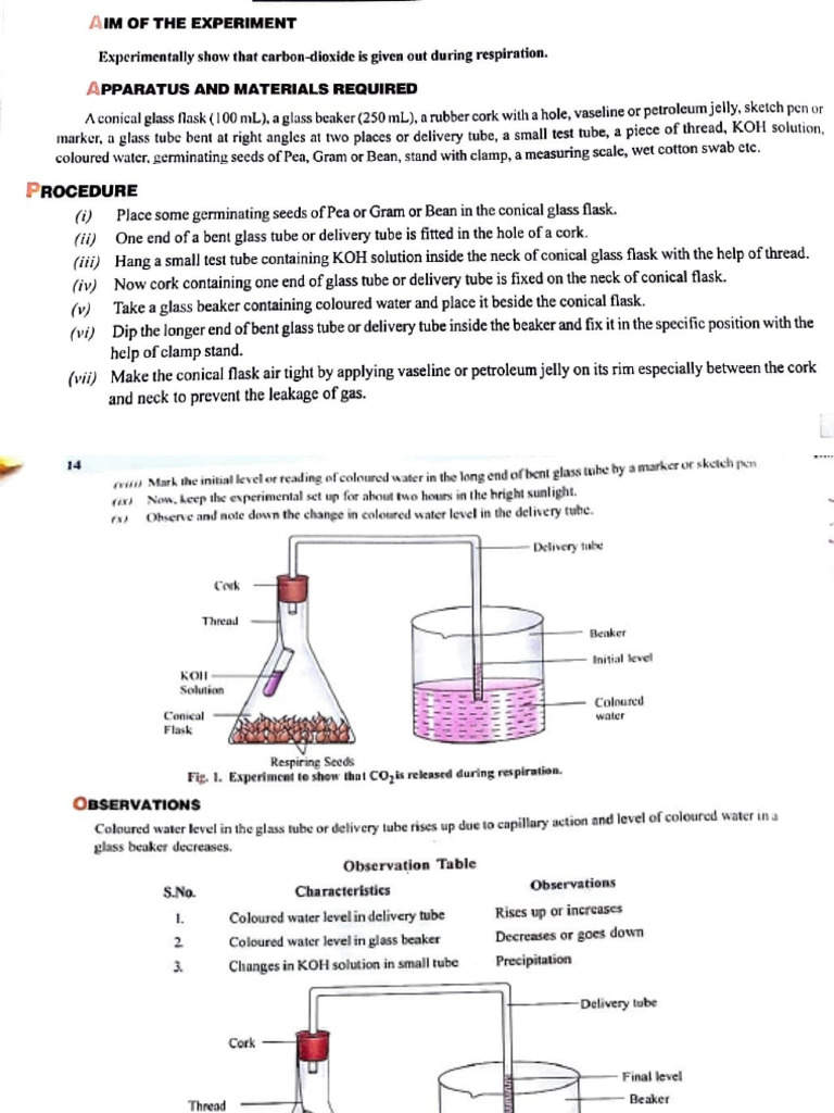 Practical class 10 hw (1) | PDF