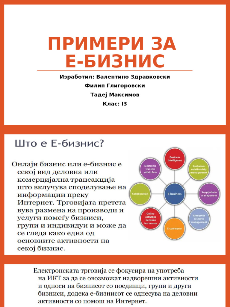 E Biznis | PDF