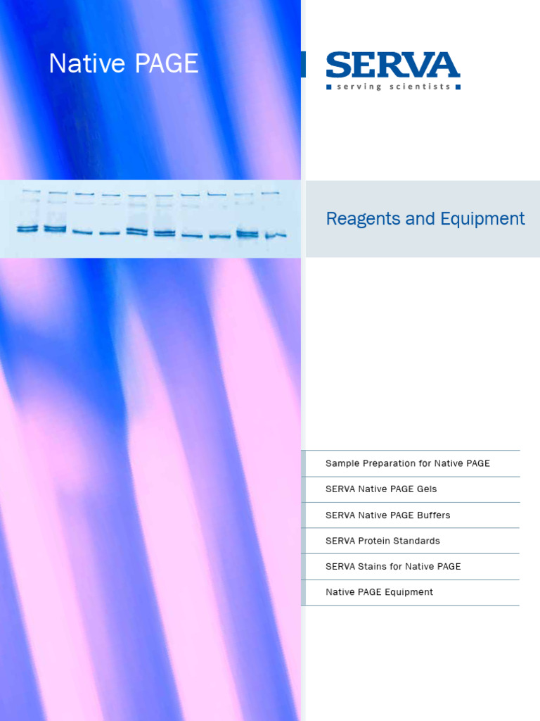 Brochure Native PAGE Web - 2022 - 2 | PDF | Polyacrylamide Gel ...