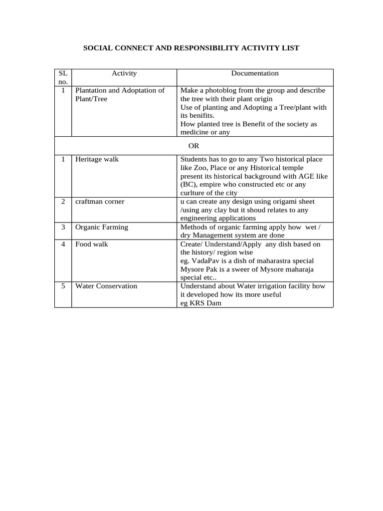 Social Responsibility Activity Guide | PDF