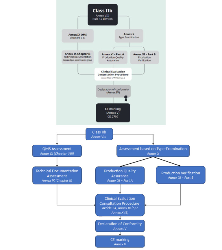 IIb device - conformity assessment route | PDF