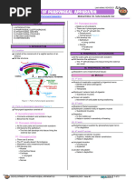 Astm D5338 15 2021 | PDF | Biodegradation | Compost